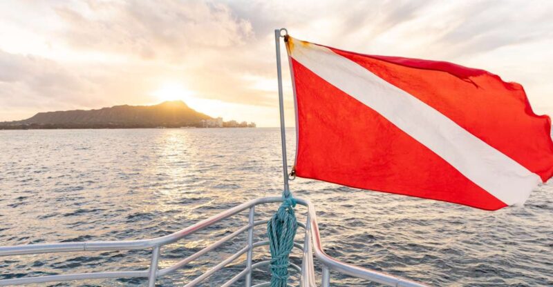 Oahu: Waikiki Turtle Canyons Cruise and Snorkel Excursion - Why This Tour Stands Out