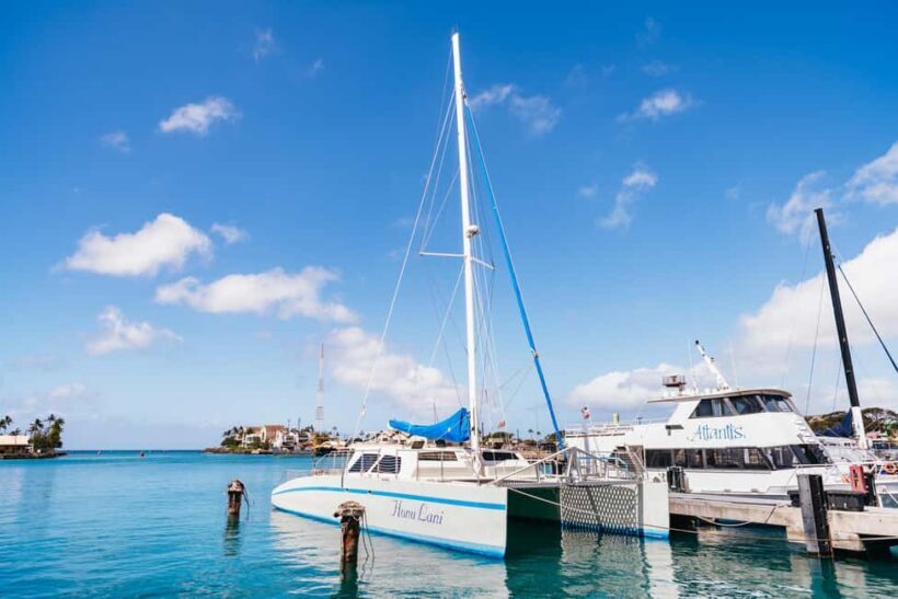 Oahu: Waikiki Turtle Snorkel Sail - An In-Depth Look at the Waikiki Turtle Snorkel Sail Experience