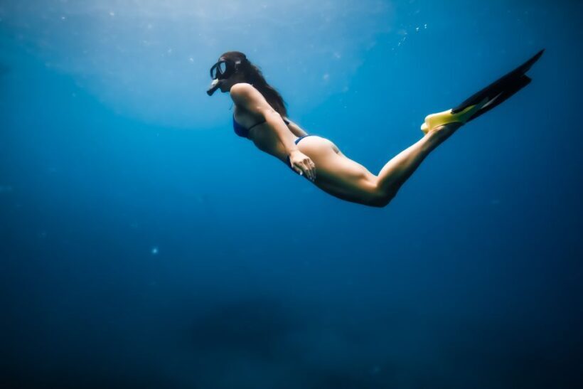 Oahu: Waikiki Turtle Snorkeling Adventure - Practical Tips for Your Tour