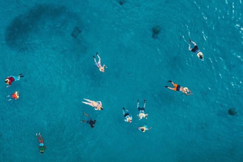 Oahu: Waikiki Turtle Snorkeling Adventure Cruise - Oahu: Waikiki Turtle Snorkeling Adventure Cruise – An In-Depth Review