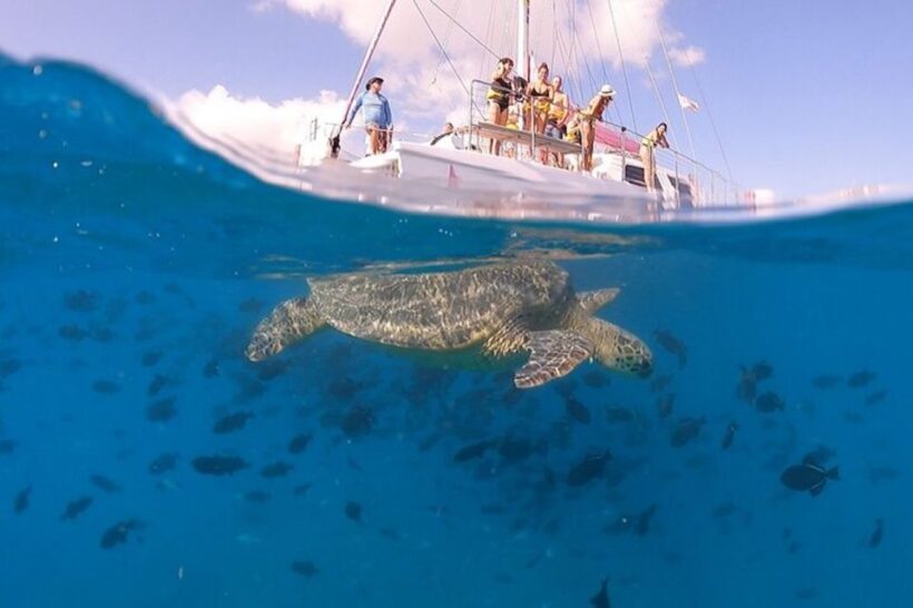 Oahu: Waikiki Turtle Snorkeling Adventure Cruise - A Scenic Sail Through Waikiki’s Blue Waters