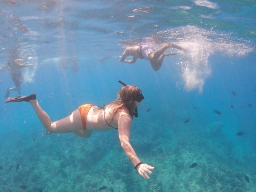 Oahu: Waikiki Turtle Snorkeling Adventure Cruise - The Return Sail and Snacks