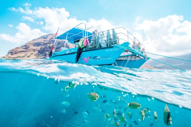 Oahu: Waikiki Turtle Snorkeling Adventure - Authentic Marine Encounters and Scenic Views