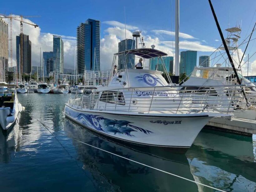 Oahu: Waikiki Whale Watching Tour-Donut and Coffee Included - The Balance of Value and Experience