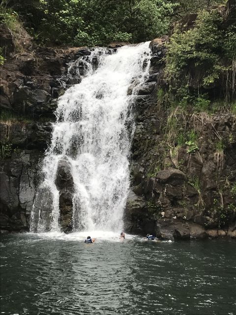 Oahu: Waimea Falls & valley & North Shore day - Key Points