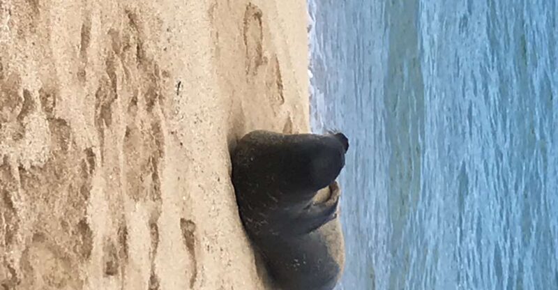 Oahu: Waimea Falls & valley & North Shore day - Final Thoughts