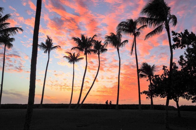 Oahu: West Oahu Sunset Cruise with Cocktails and Appetizers - The Experience: What to Expect on the Water