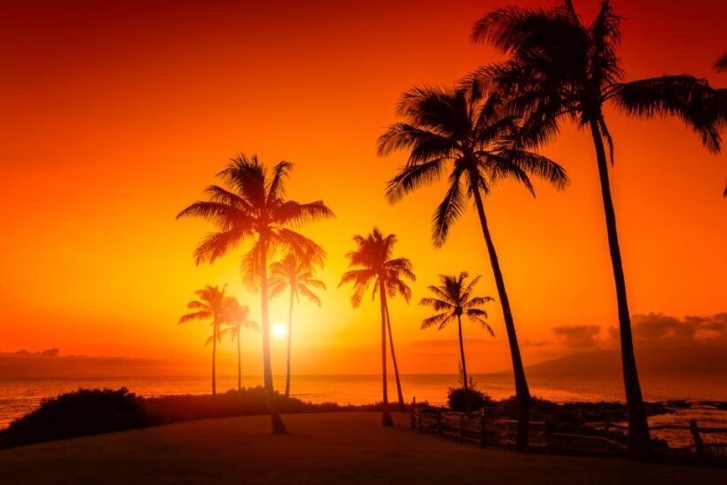 Oahu: West Oahu Sunset Cruise with Cocktails and Appetizers - Authenticity and Practical Tips