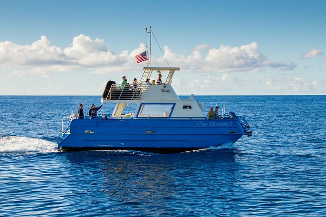 Oahu Whale Watching Excursion - Additional Information for Travelers