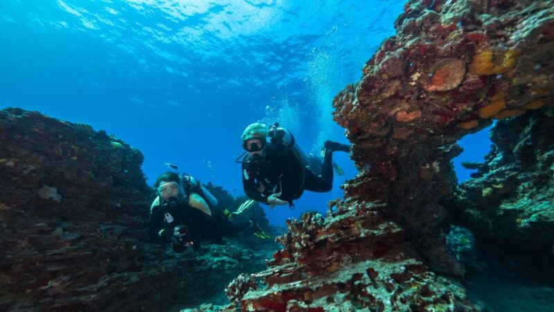 Oahu: Wreck & Reef Scuba Dive for Certified Divers - The Itinerary: What to Expect