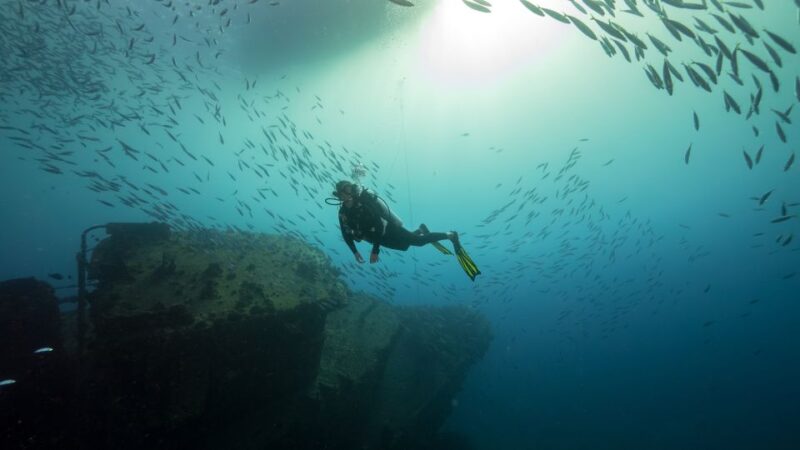 Oahu: Wreck & Reef Scuba Dive for Certified Divers - The Sum Up
