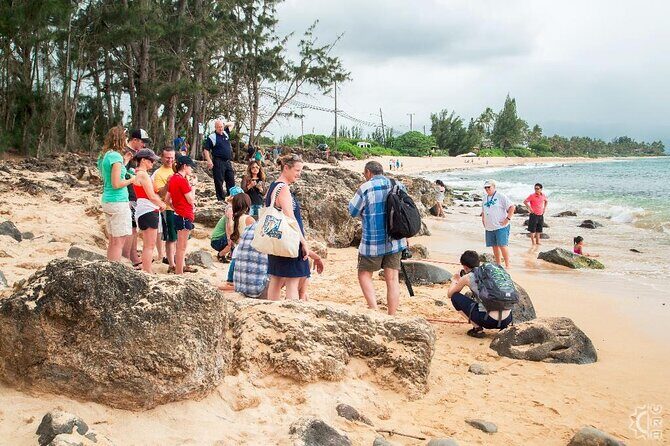 Oahu's Cheapest Circle Island Tour - The Itinerary Breakdown: What You’ll Experience