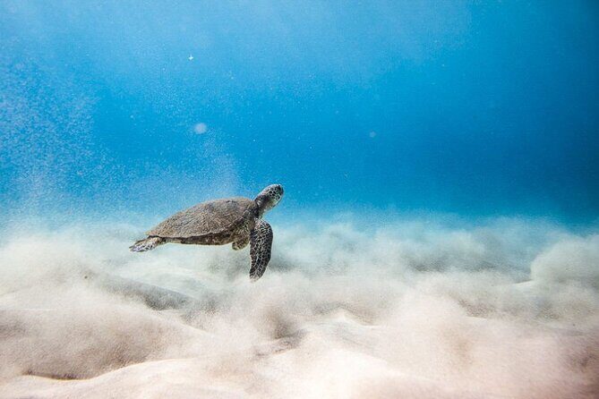 Oahu's Cheapest Circle Island Tour - Pricing and Value