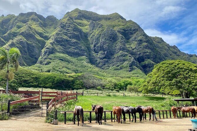 Oahu's Fun and Foodie Tour Groups of 5 or more Only! - FAQs