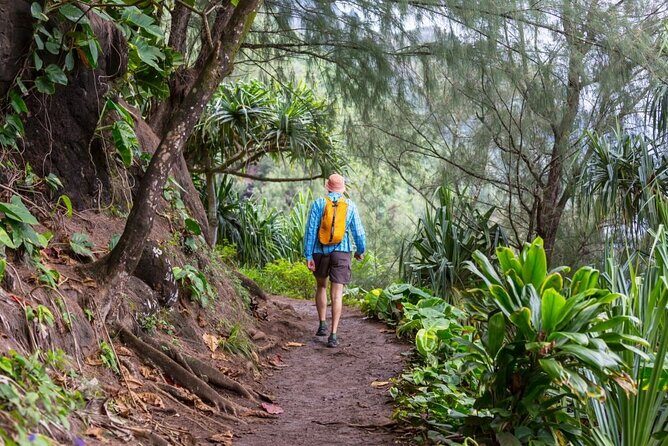 Oahu's North Shore Self-Guided Audio Tour - An In-Depth Look at the North Shore Self-Guided Audio Tour