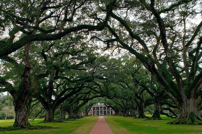 Oak Alley or Laura Plantation Tour from New Orleans - What’s Included and What Not