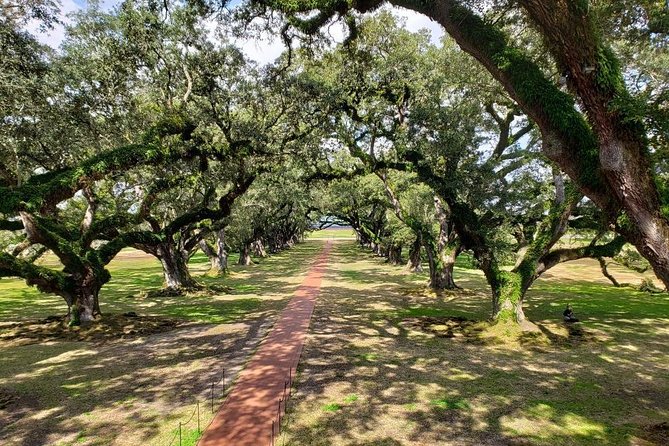 Oak Alley or Laura Plantation Tour from New Orleans - Final Thoughts