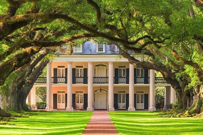 Oak Alley Plantation Admission & Tour with transportation - Tips for Making the Most of This Tour