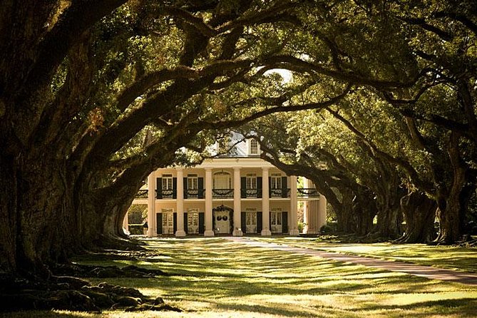 Oak Alley Plantation and Large Airboat Swamp Tour from New Orleans - Oak Alley Plantation: A Glimpse into the Antebellum South
