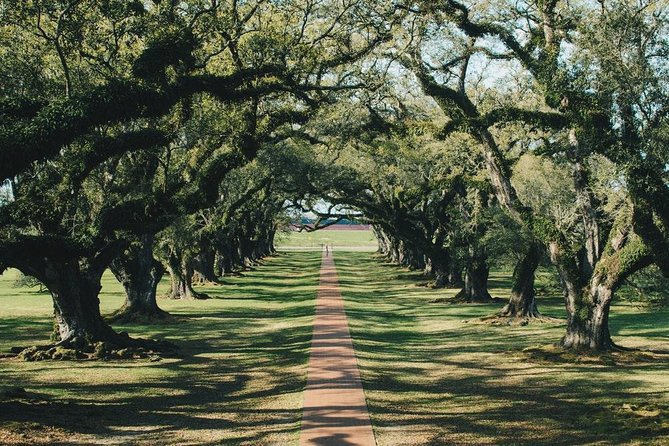 Oak Alley Plantation and Small Airboat Tour From New Orleans - Preparing for an Unforgettable Day Trip