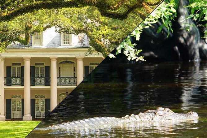 Oak Alley Plantation and Swamp Boat Tour From New Orleans - Guided Mansion Tour and Surroundings