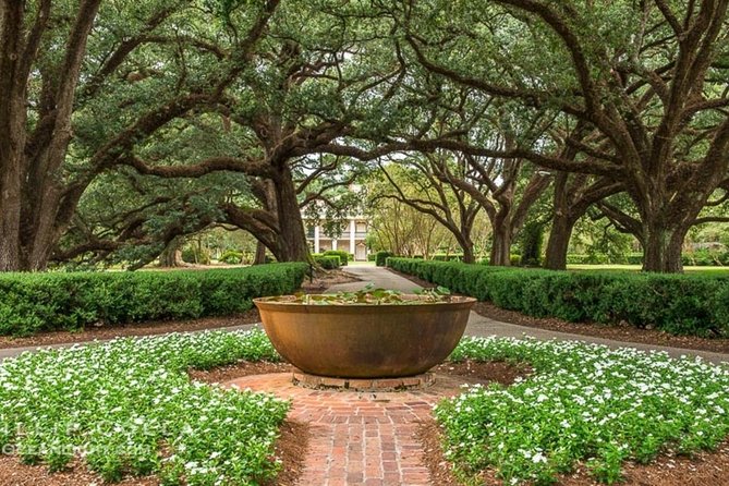 Oak Alley Plantation and Swamp Boat Tour From New Orleans - Transportation and Logistics Details