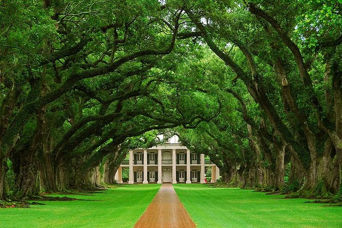Oak Alley Plantation Half-Day Tour from New Orleans - What You Can Expect from the Oak Alley Plantation Half-Day Tour