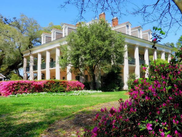 Oak Alley Plantation Tour with Transportation from New Orleans - Who Should Consider This Tour?