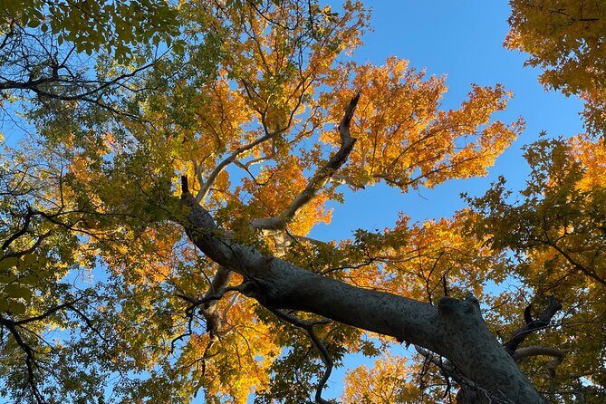 Oak Creek Canyon, with Native American history and Chapel too! - A Complete Look at the Experience
