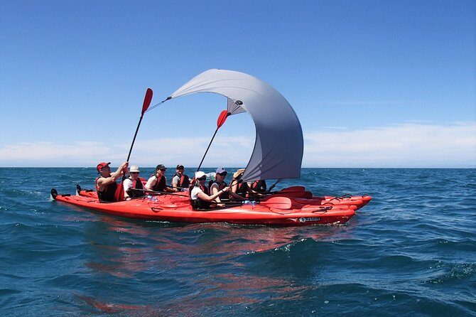Oarsome Marine Reserve Kayak Tour - An Introduction to the Tour: An Authentic Adventure in Abel Tasman