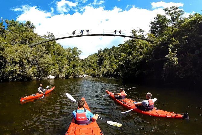 Oarsome Marine Reserve Kayak Tour - Practical Details: What You Need to Know