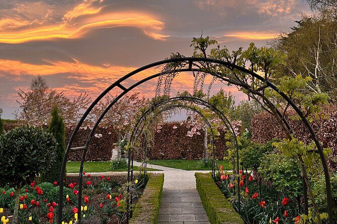 Oasis Cottage Gardens and Floristry Studio in Oxford, NZ - A Closer Look at Oasis Cottage Gardens