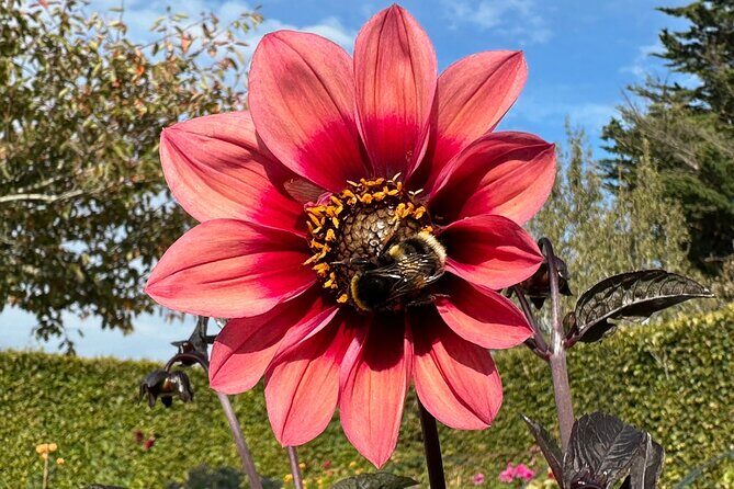 Oasis Cottage Gardens and Floristry Studio in Oxford, NZ - Who Will Love This Tour?