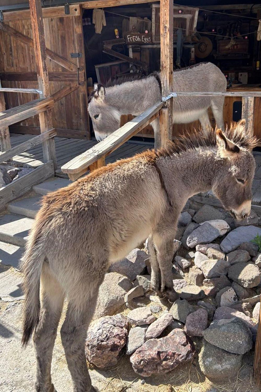 Oatman / RT66 3 in 1 Combo Tour - Frequently Asked Questions