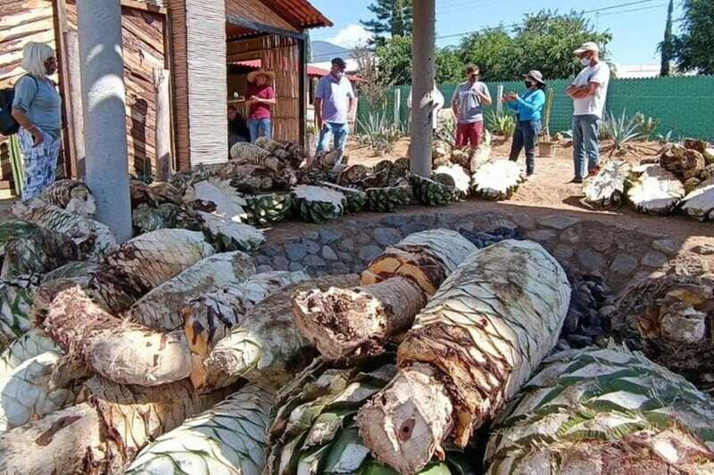 Oaxaca: Ancestral Mezcal Experience - Frequently Asked Questions