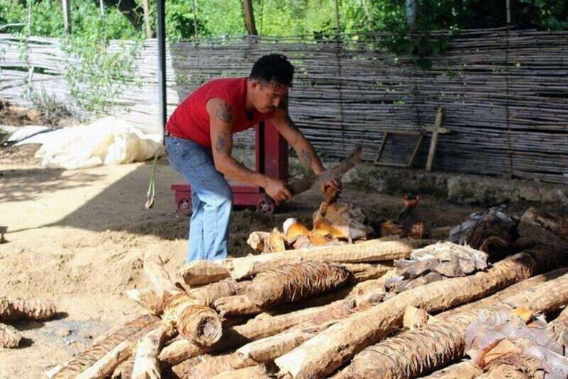 Oaxaca: Ancestral Mezcal Tasting in Ocotlan Valley - An In-Depth Look at the Oaxaca Ancestral Mezcal Tour
