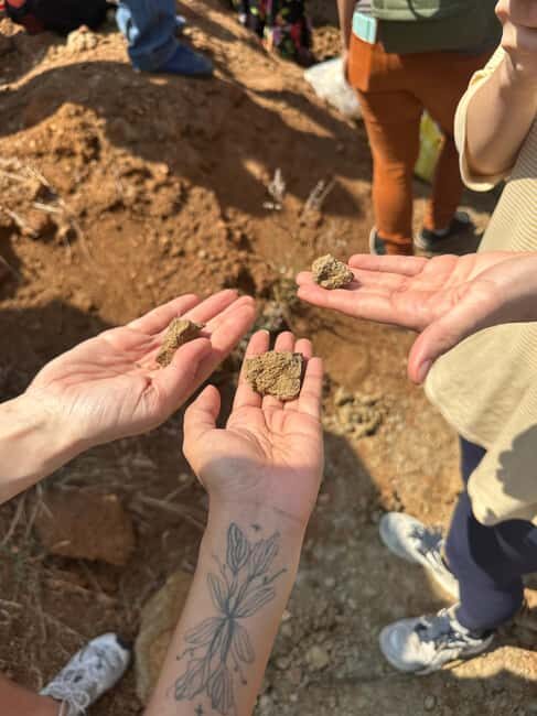 Oaxaca: Artisan Clay Pottery Workshop w/Breakfast and Brunch - Exploring the Oaxaca Artisan Clay Pottery Workshop