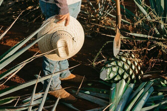Oaxaca Authentic Mezcal Tasting Experience - Frequently Asked Questions