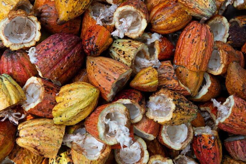 Oaxaca: Chocolate and Ancestral Drinks Tour - Exploring the Chocolate and Ancestral Drinks Tour in Oaxaca