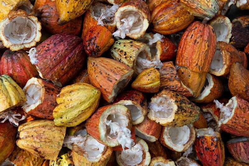 Oaxaca: Chocolate and Ancestral Drinks Tour - Frequently Asked Questions