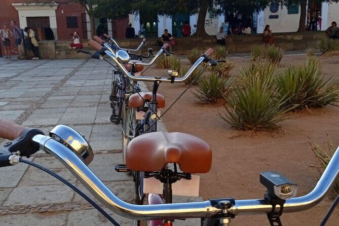 Oaxaca City Bicycle Tour Explore Iconic Barrios - Analyzing the Value