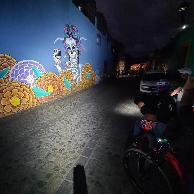Oaxaca City: Bike Tour with Professional Guide+Art workshop - Who Is This Tour Best For?