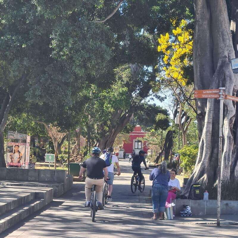 Oaxaca City: Bike Tour with Professional Guide+Art workshop - Final Thoughts