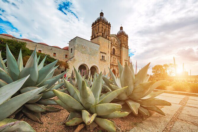 Oaxaca City Private Tour  Culture, History, and Tastes - Key Points
