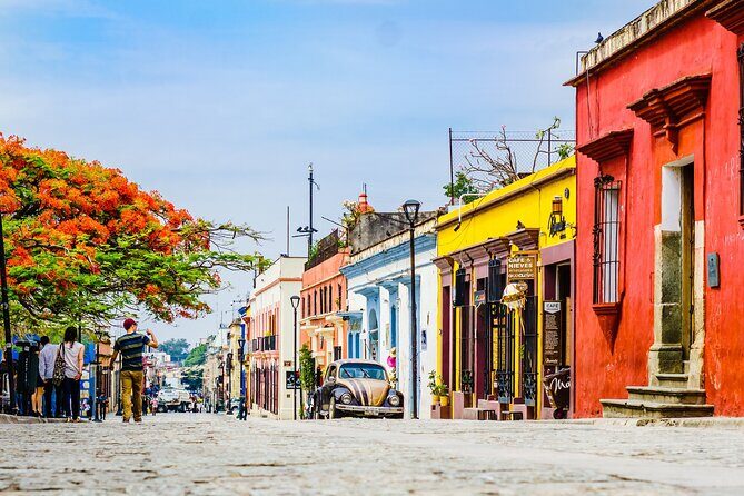 Oaxaca City Private Tour  Culture, History, and Tastes - Why This Tour Matters