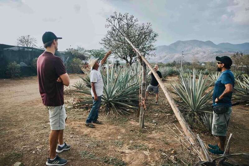 Oaxaca: Crafts & Cuisine Culture Tour - The Sum Up
