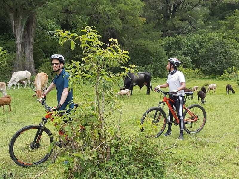 Oaxaca: Ejutla Canyon 1 Day Bike Tour - The Sum Up — Is It Worth It?