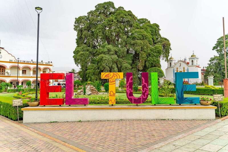 Oaxaca: El Tule tree, Teotitlan Village & Mezcal Tour - The Authentic Oaxaca Experience
