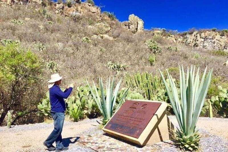 Oaxaca: Exclusive Private Yagul UNESCO Heritage Site Tour - Visiting the Mezcal Don Agave Distillery