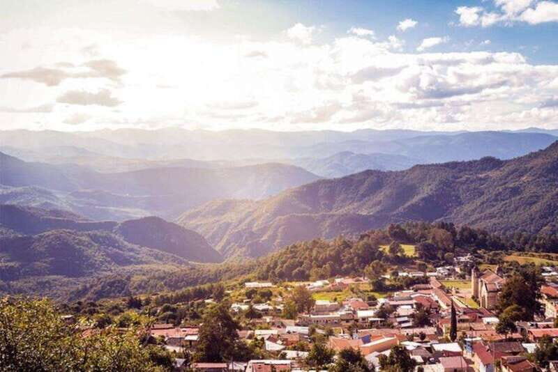 Oaxaca: Forest and Nature Walking Experience - An In-Depth Look at the Tour Itinerary